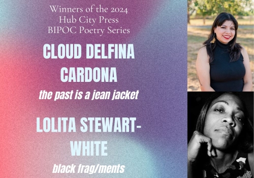 Hub City Press Announces 2024 BIPOC Poetry Series Winners | Hub City ...